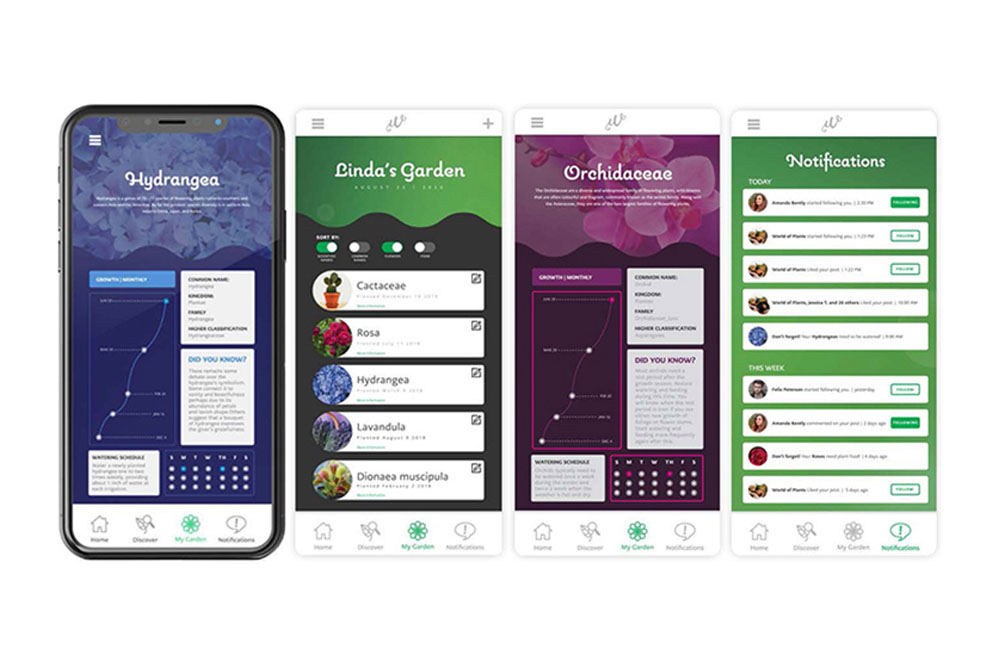 Graphic Design | Undergraduate Programs | Programs | School of Art | TTU