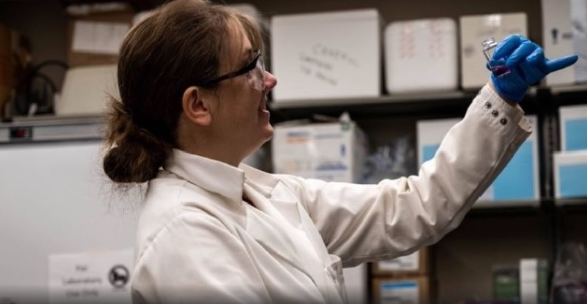 Department News | Civil, Environmental, and Construction Engineering | TTU