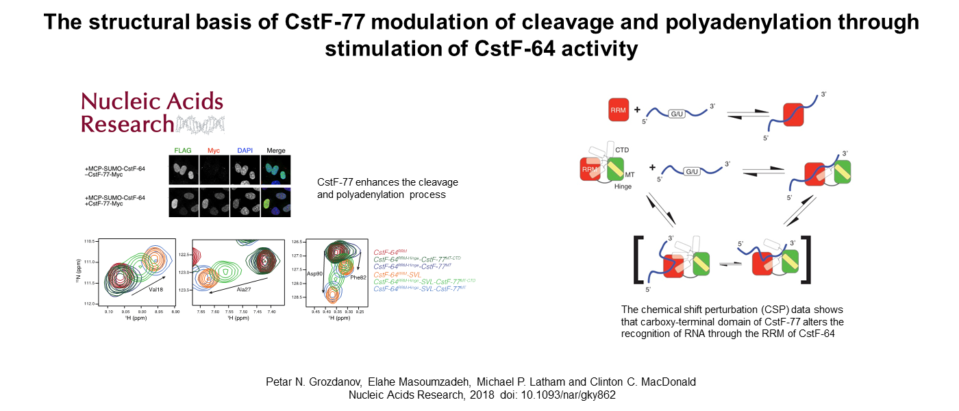 Department of Chemistry & Biochemistry | Department of Chemistry and ...