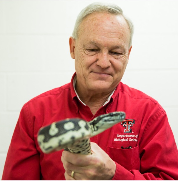 Dr. Lou Densmore, PhD. | CISER SSO Officers | CISER | TTU