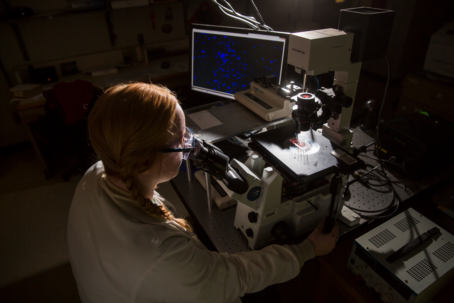 Edward E. Whitacre Jr. College of Engineering | Department of Chemical ...