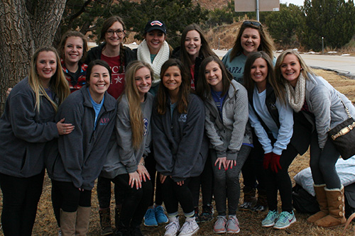 Councils | FSL | TTU