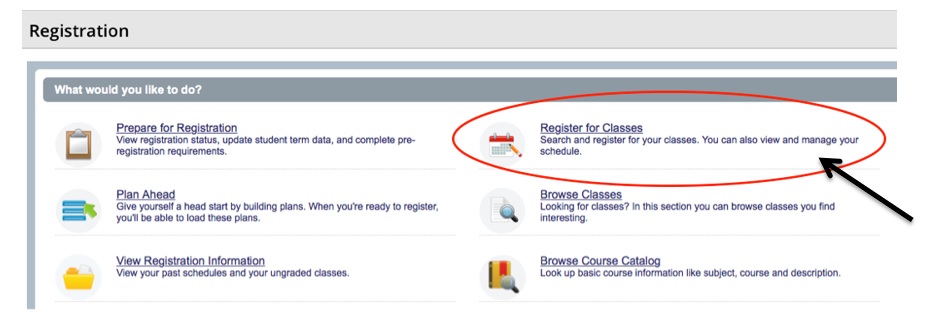 Step-by-Step Registration Guide | RRO | Admissions | Honors College | TTU