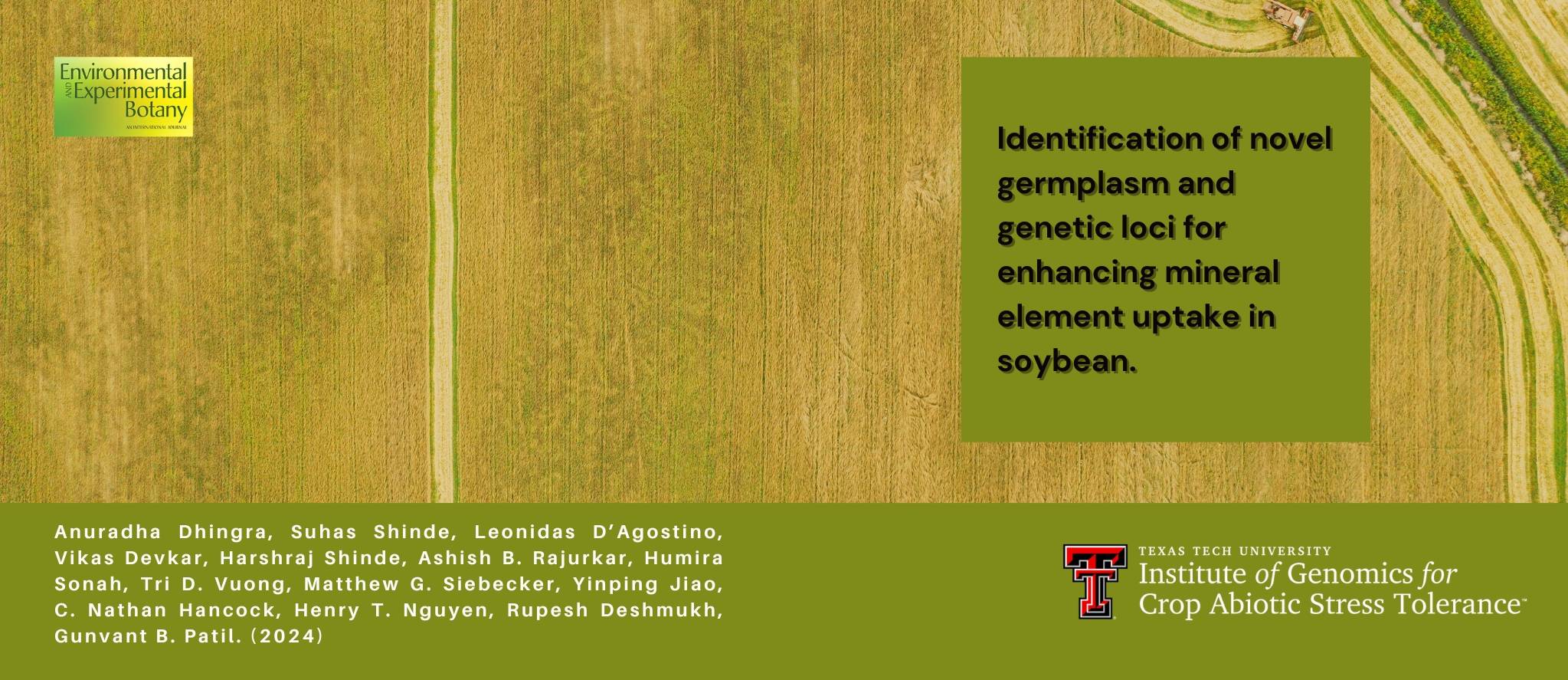 Institute of Genomics for Crop Abiotic Stress Tolerance | IGCAST | TTU