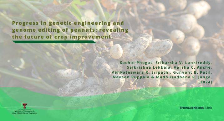 IGCAST Publications | IGCAST Research | IGCAST | TTU