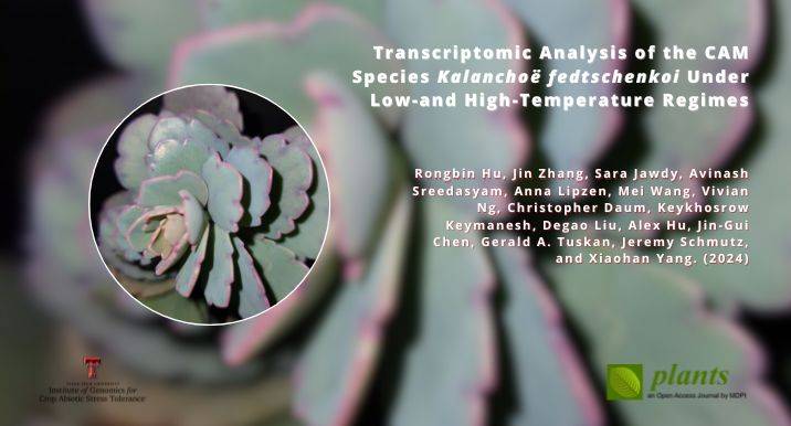 IGCAST Publications | IGCAST Research | IGCAST | TTU