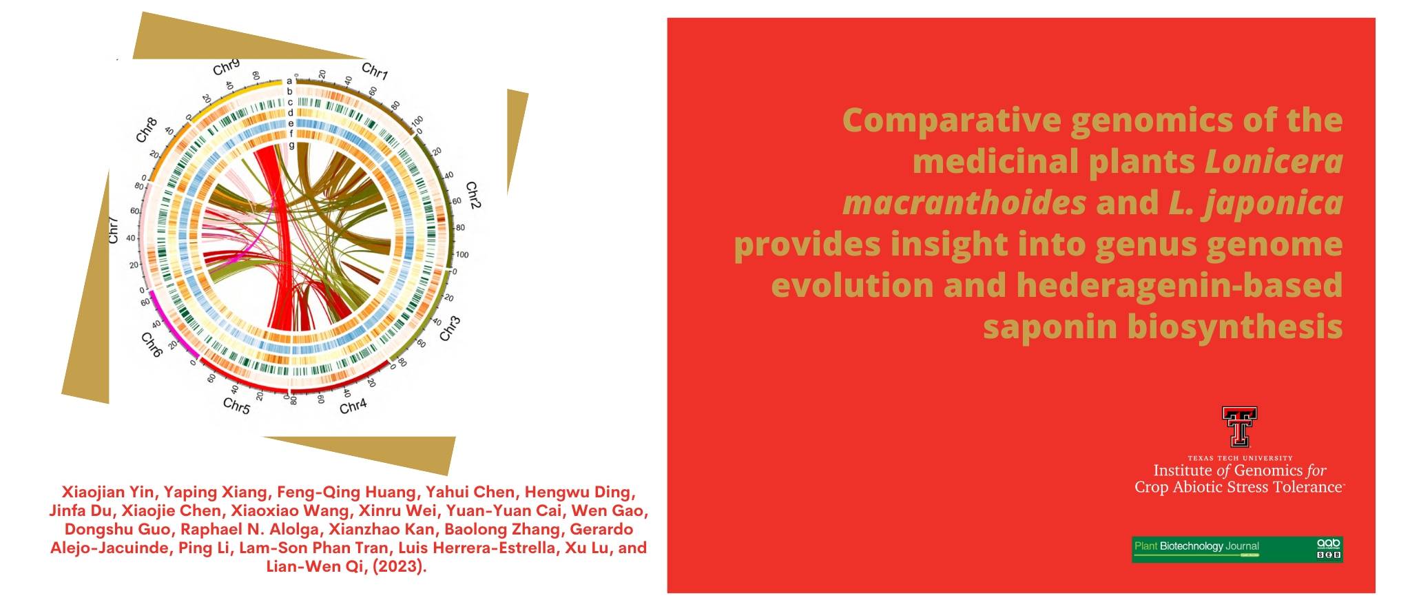 Institute of Genomics for Crop Abiotic Stress Tolerance | IGCAST | TTU