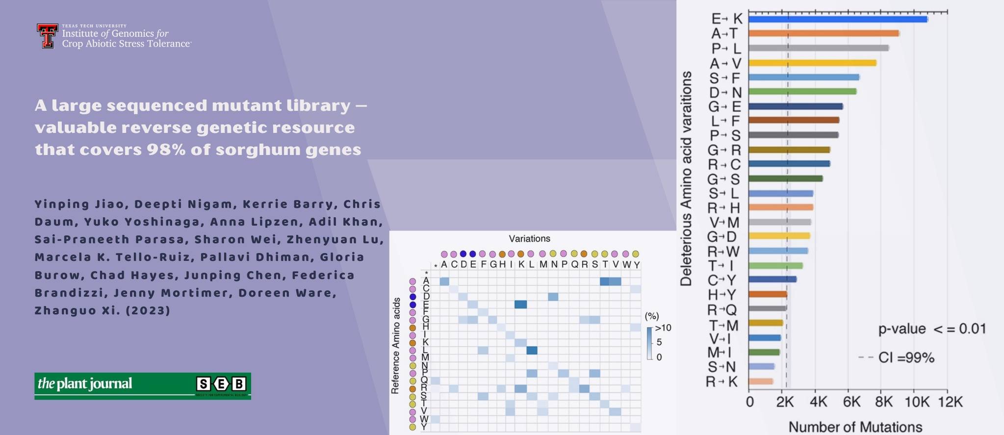 Institute of Genomics for Crop Abiotic Stress Tolerance | IGCAST | TTU