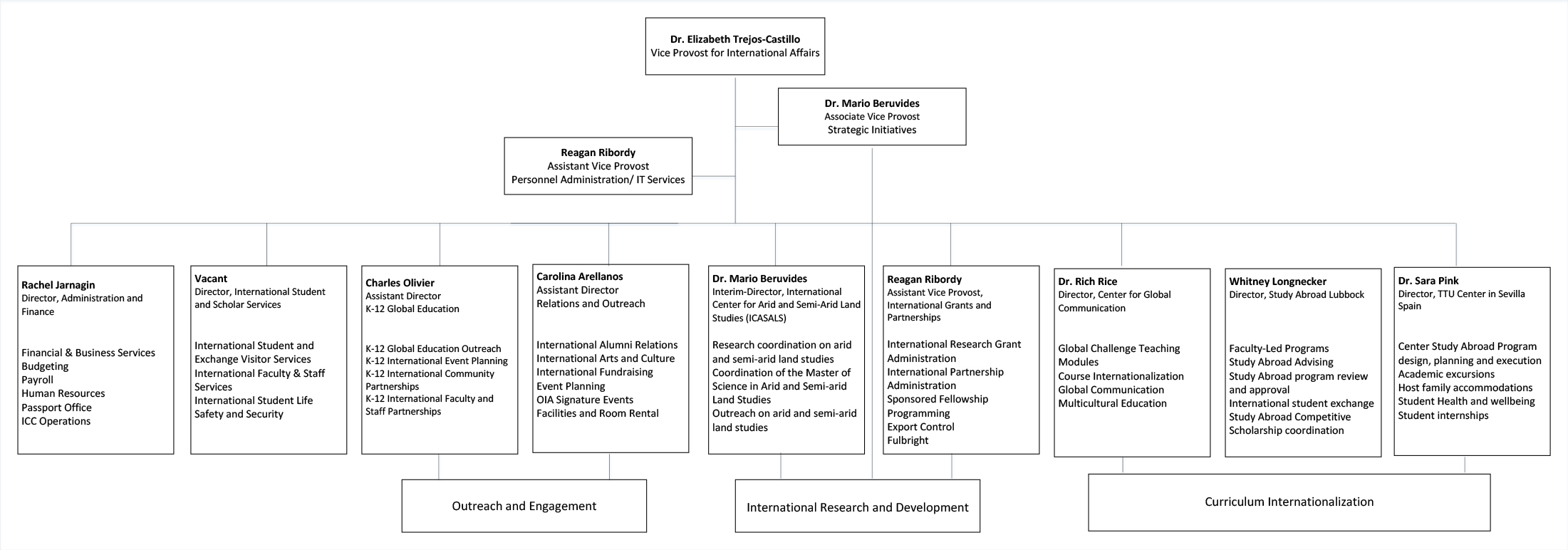 Organizational Structure | International Affairs | TTU
