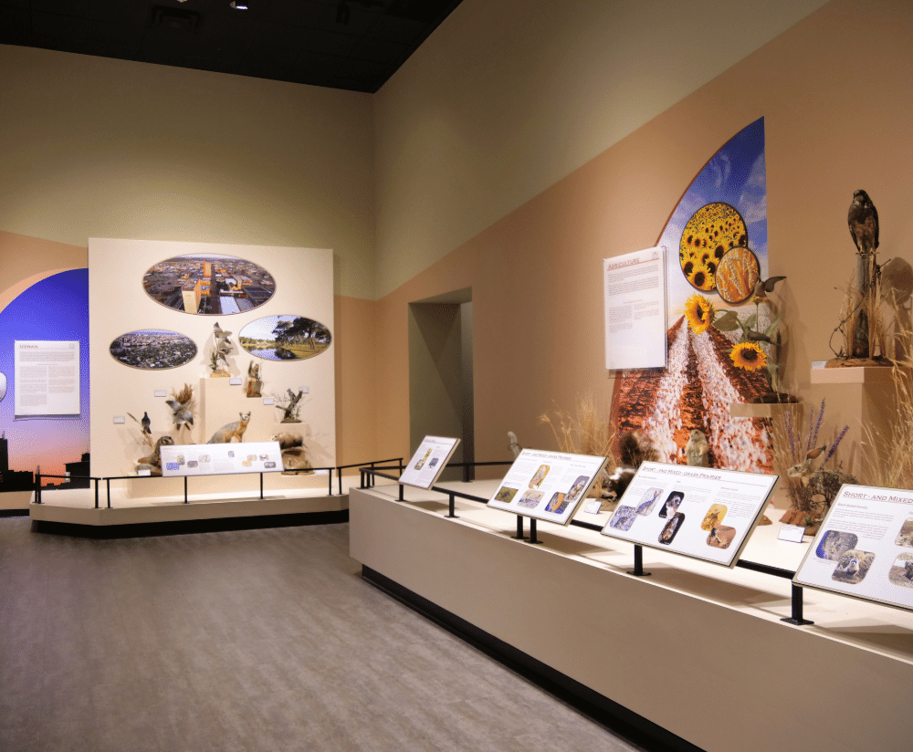 Current Exhibitions | Museum | TTU