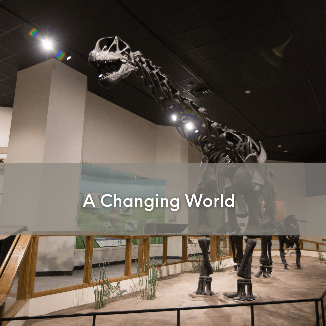 Long-Term Exhibitions | Exhibitions | Museum | TTU