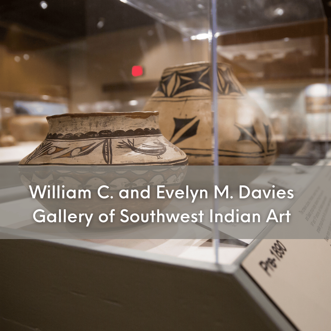 Long-Term Exhibitions | Exhibitions | Museum | TTU