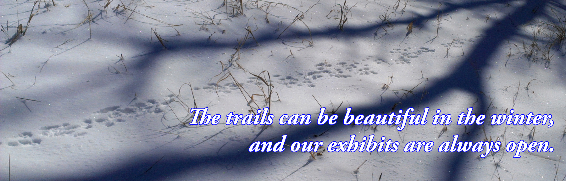 Lubbock Lake Landmark