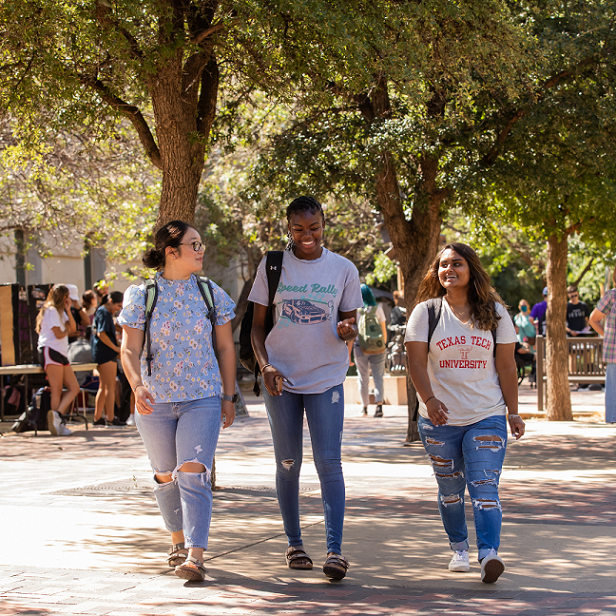 Raider Success Hub | Raider Success Hub | Office of the Provost | TTU