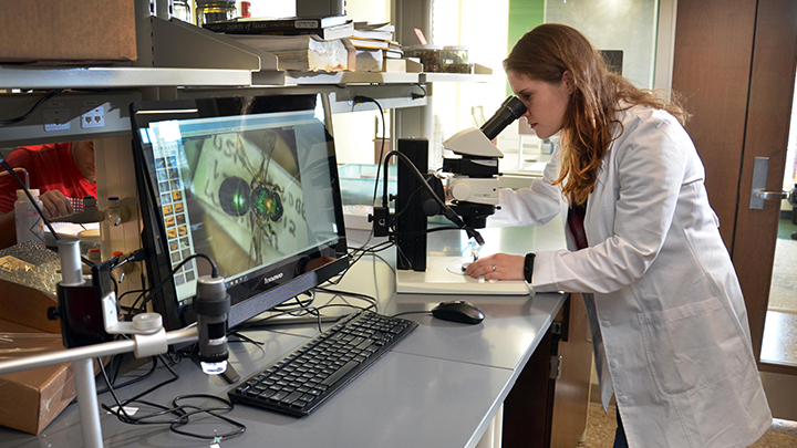 Research in PSS | Plant and Soil Science | TTU