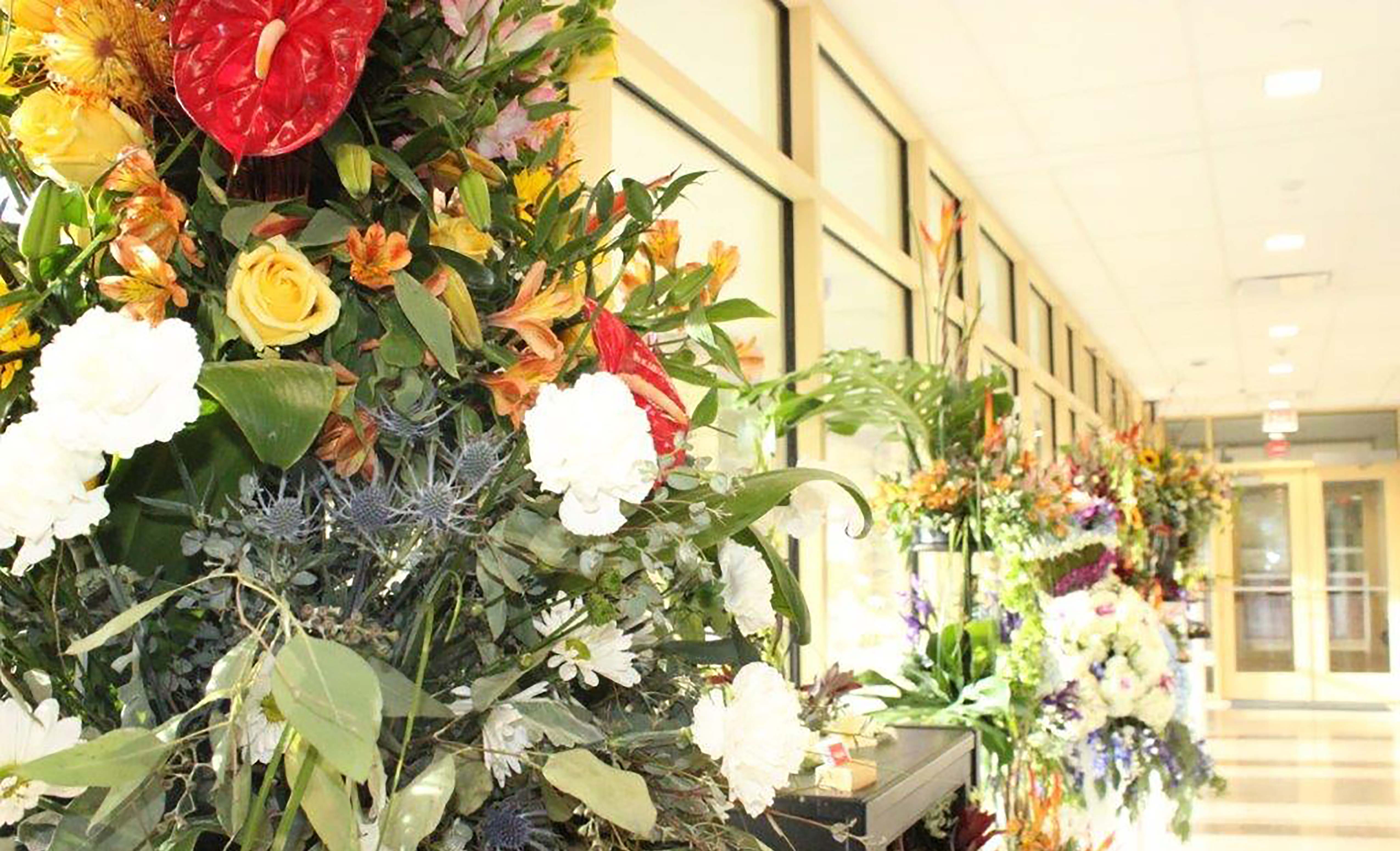 Prospective Student Resources | PSS Student Dashboard | Plant and Soil ...