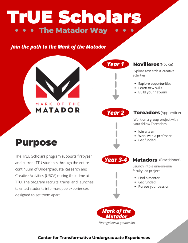 TrUE Scholars Program | Center for Transformative Undergraduate ...